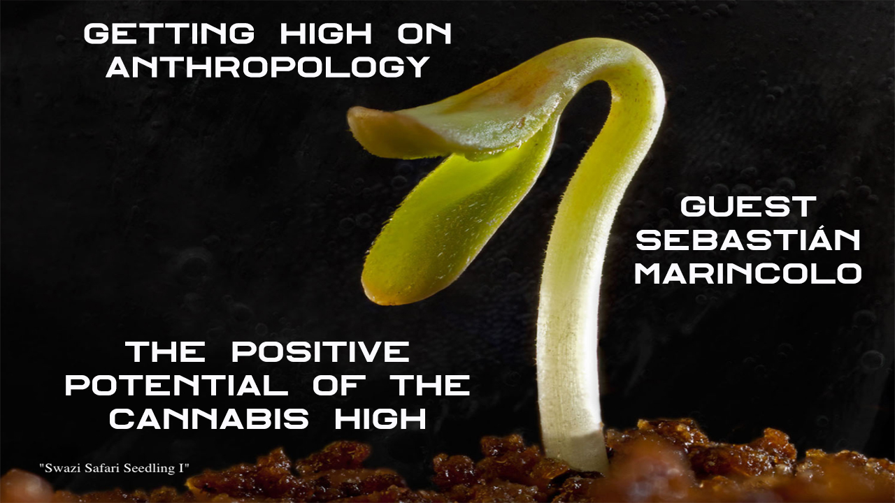 The Positive Potential of the Cannabis High | Denver Open Media